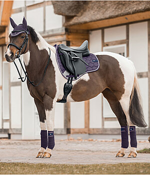 Kramer Equitazione | Attrezzature e articoli per l'equitazione