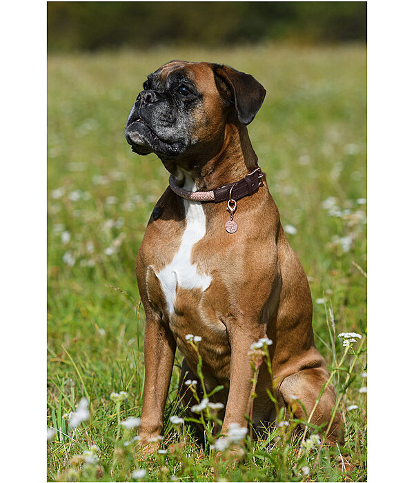 Collare Coloured Rope - Cane - Kramer Equitazione